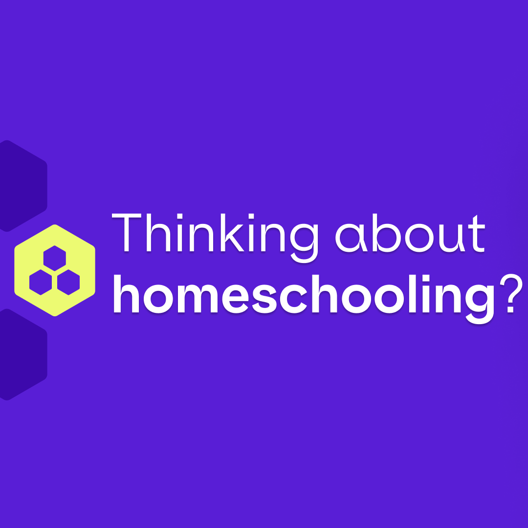 The Pros and Cons of Homeschooling for Parents