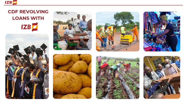 Indo Zambia Bank_ Presentation