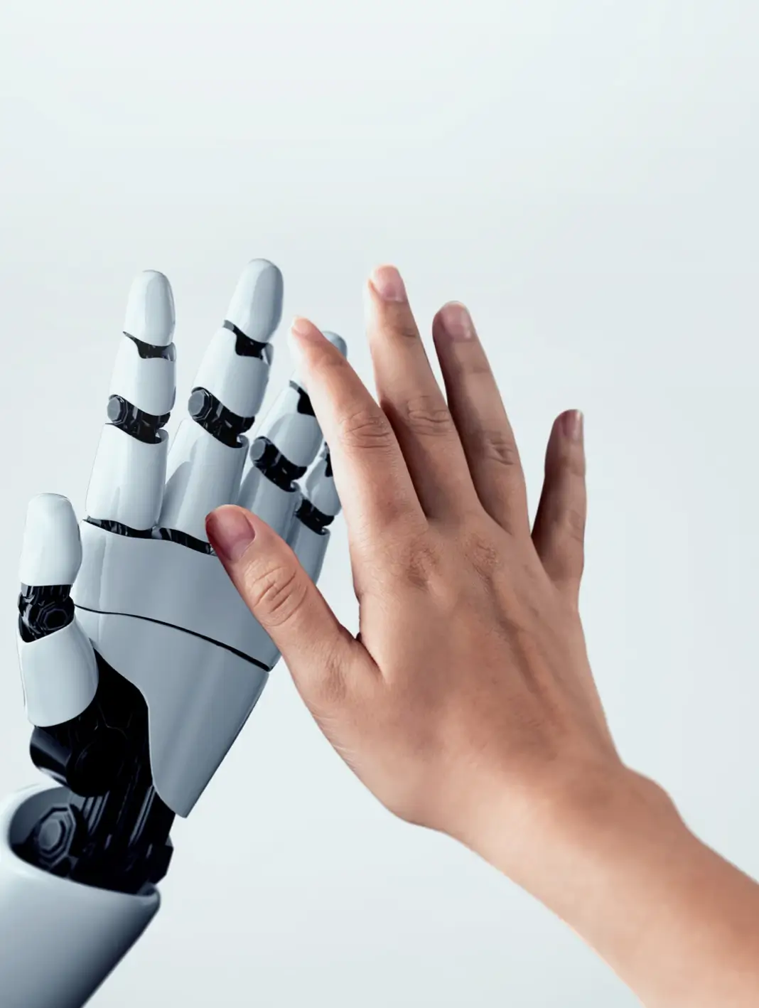 Payzaar - The Modular Payroll Management Platform