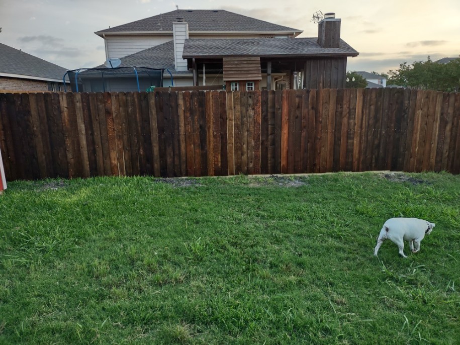 San Antonio, Texas Fence Law Guide