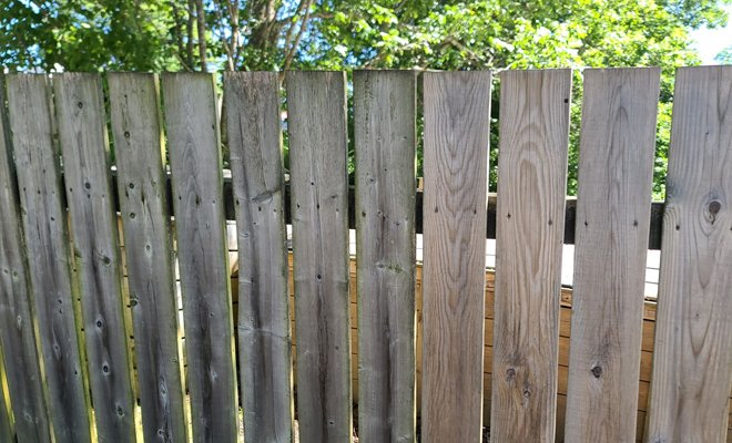 Best Wood for Fencing [2023 Update with Photos]