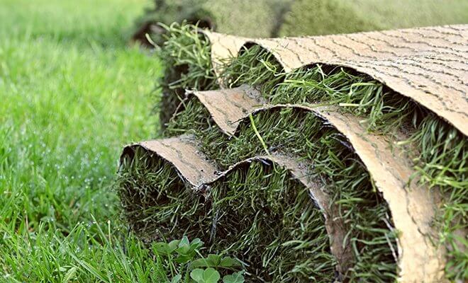 A Guide to Choosing the Best Fake Grass for Your Patio