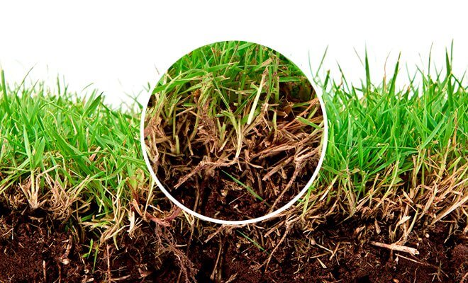 A Guide to Choosing the Best Fake Grass for Your Patio