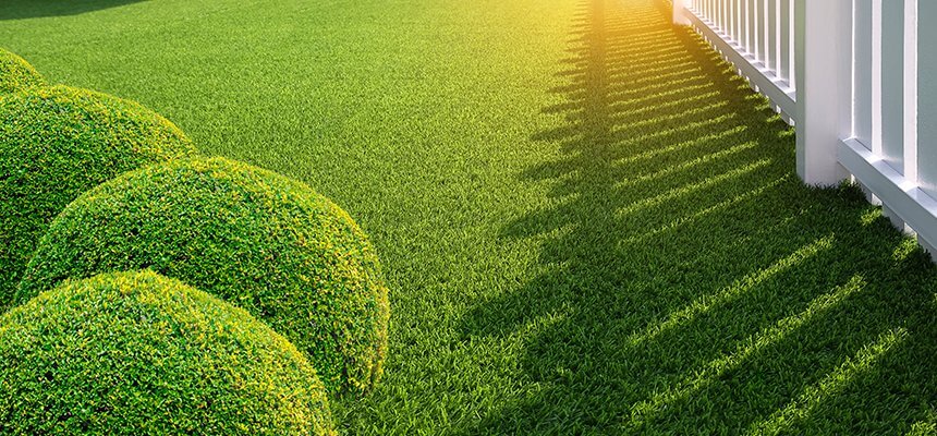 The Ultimate Guide to Artificial Grass Installation