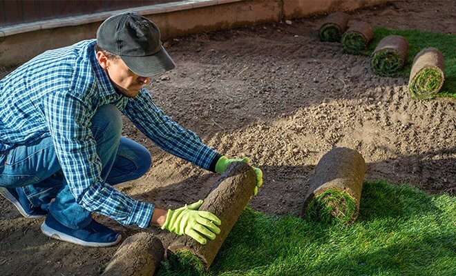 The Ultimate Guide to Artificial Grass Installation