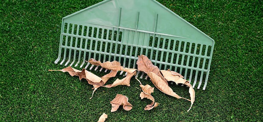 Mastering the Art of Artificial Grass Cleaning