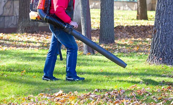 Mastering the Art of Artificial Grass Cleaning