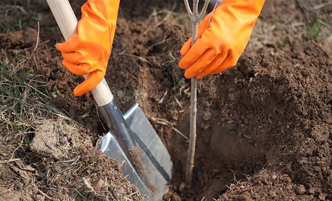Ultimate Guide to Fix a Leaning Fence on Your Property
