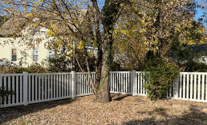 Neighbor's Tree Destroyed Your Fence? Here's What to Do