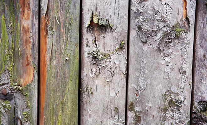 The Ultimate Wood Fence Treatment Guide: Tips and Tricks