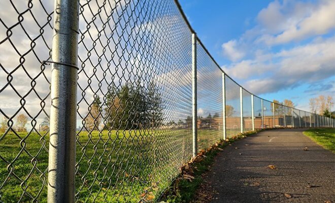 Inexpensive Fence Ideas for Your Backyard