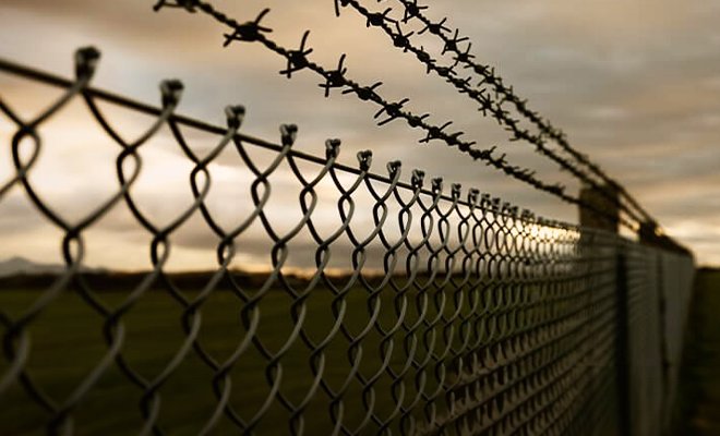 Inexpensive Fence Ideas for Your Backyard