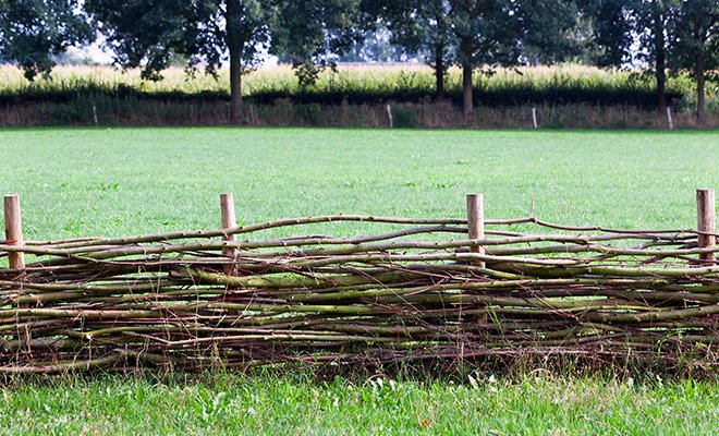 Creative Short Fence Ideas to Define Your Space