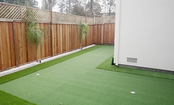 Grass Alternatives for Low-Maintenance Lawn Landscaping