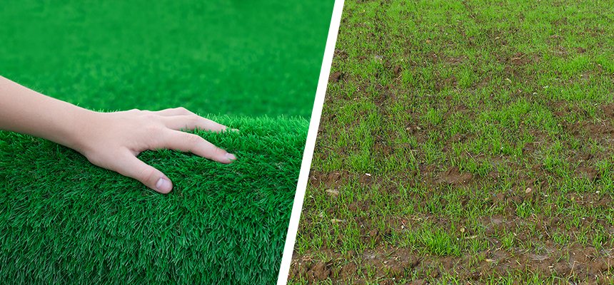 Comparing Costs of Artificial Grass and Real Grass Lawns