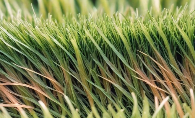 Comparing Costs of Artificial Grass and Real Grass Lawns