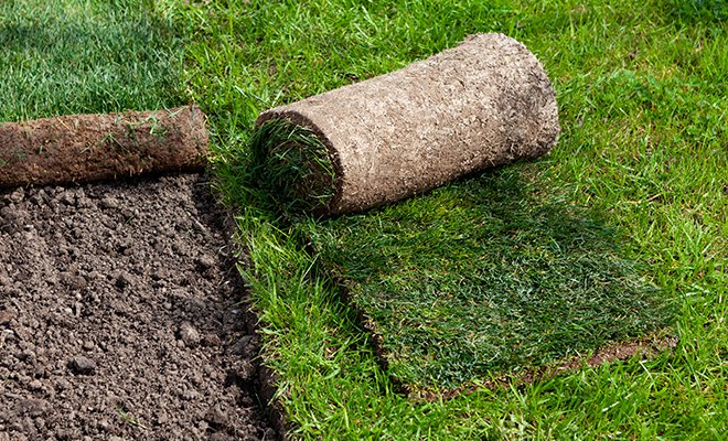 Sod or Artificial Grass: Pros and Cons