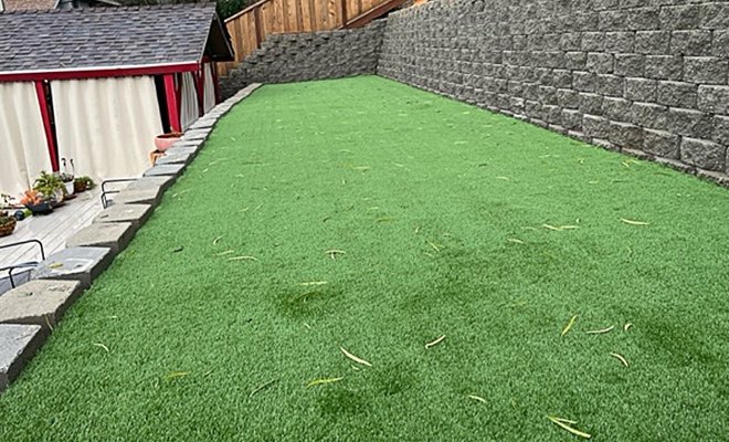 Sod or Artificial Grass: Pros and Cons
