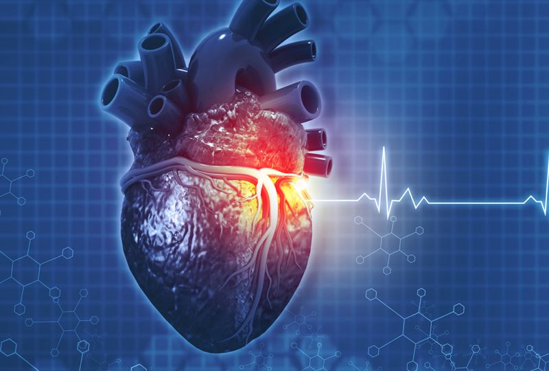 What Are the Four Chambers of the Heart? | Carda Health