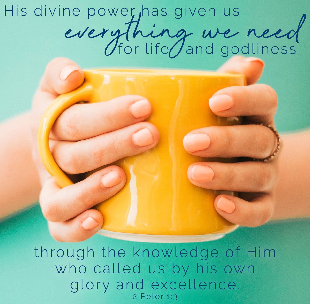 Everything You Need for Life & Godliness This School Year