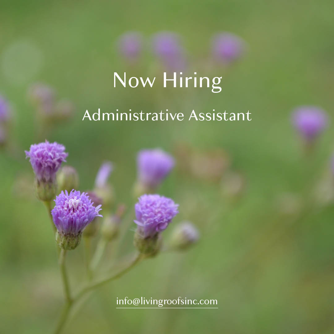 Green Roofs in the Press :: Living Roofs Inc.