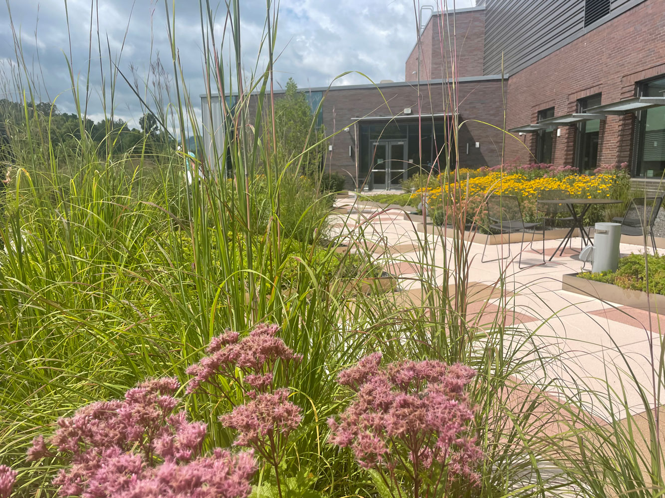 Apodaca Science Building | Education :: Living Roofs Inc.