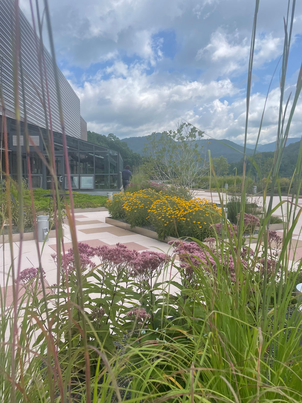 Apodaca Science Building | Education :: Living Roofs Inc.