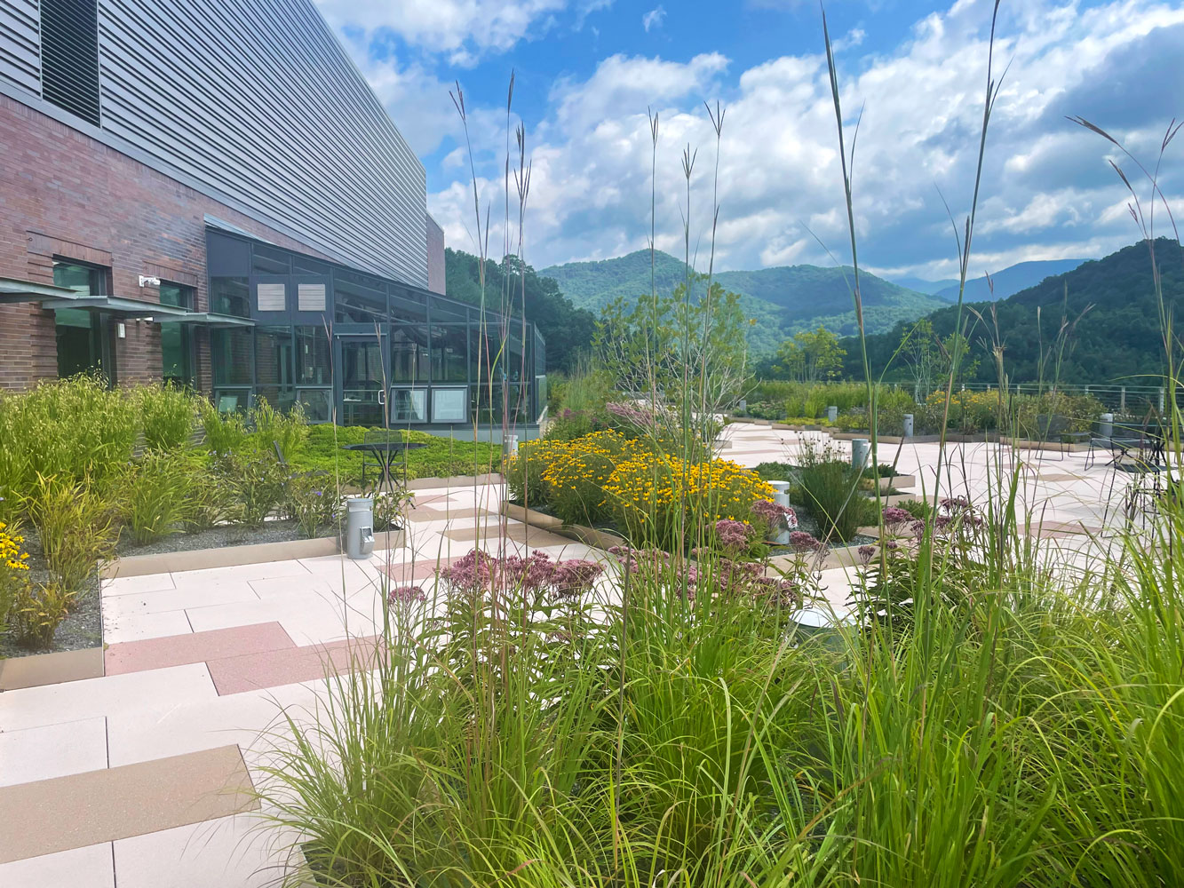 Apodaca Science Building | Education :: Living Roofs Inc.