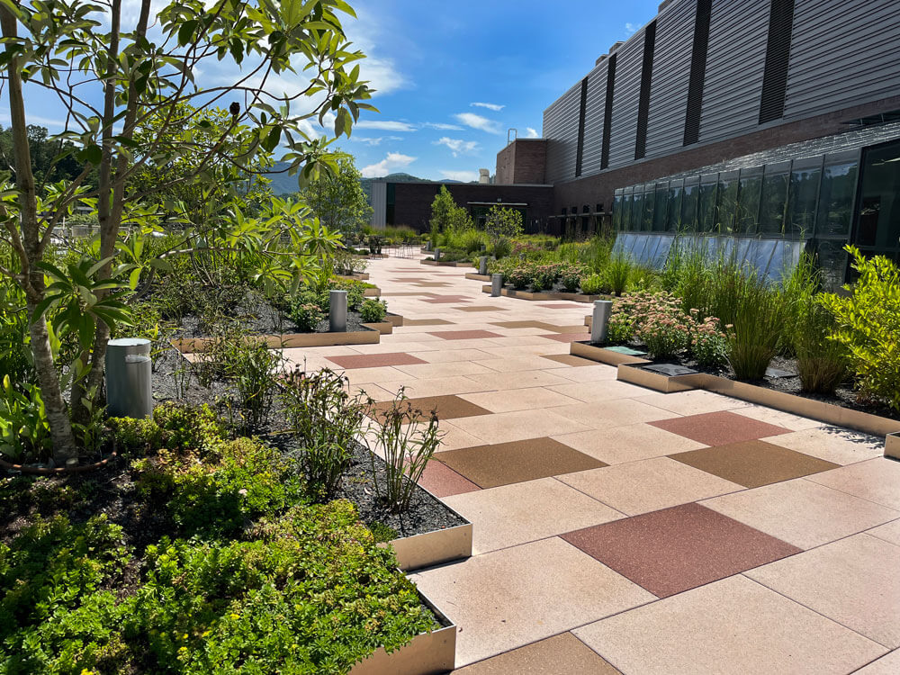 Apodaca Science Building | Education :: Living Roofs Inc.