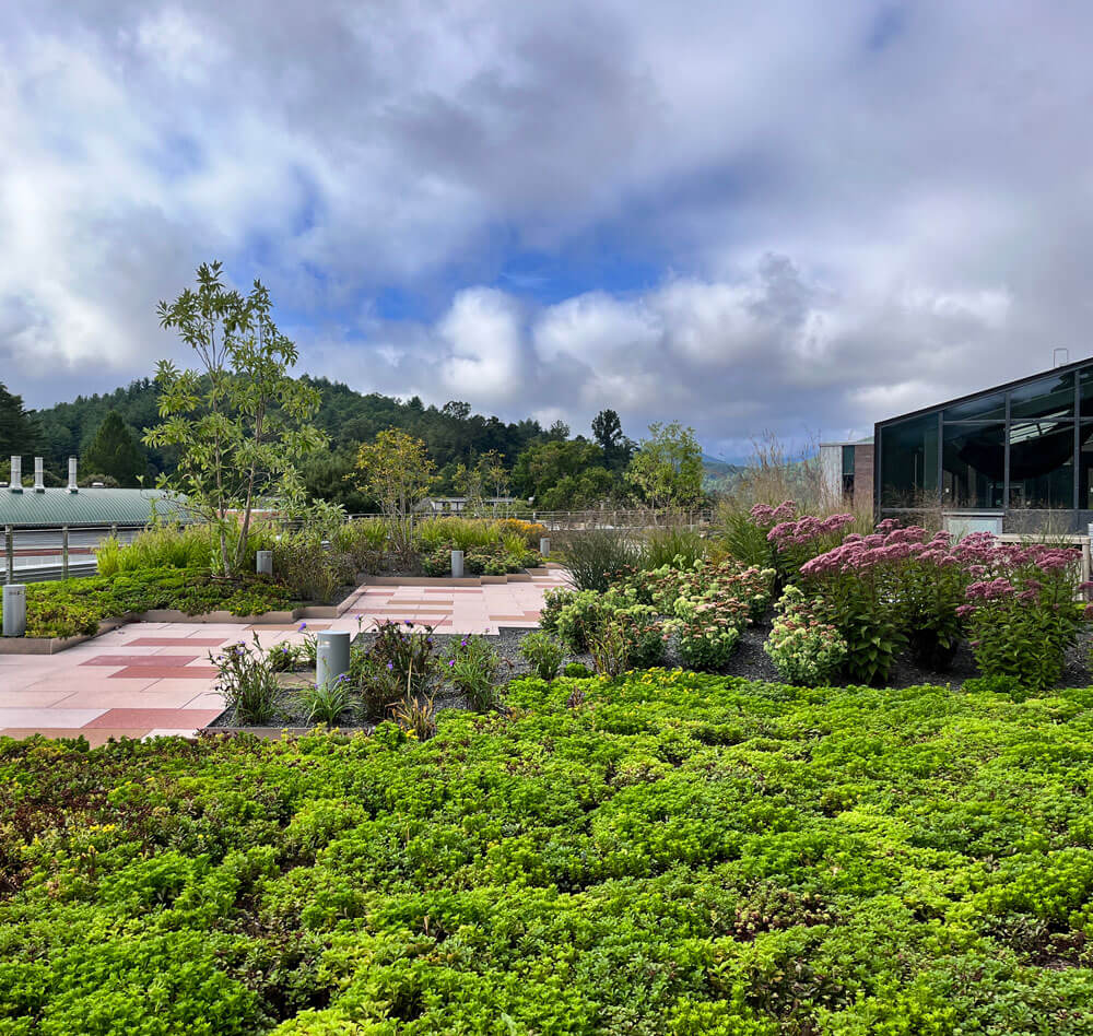 Apodaca Science Building | Education :: Living Roofs Inc.