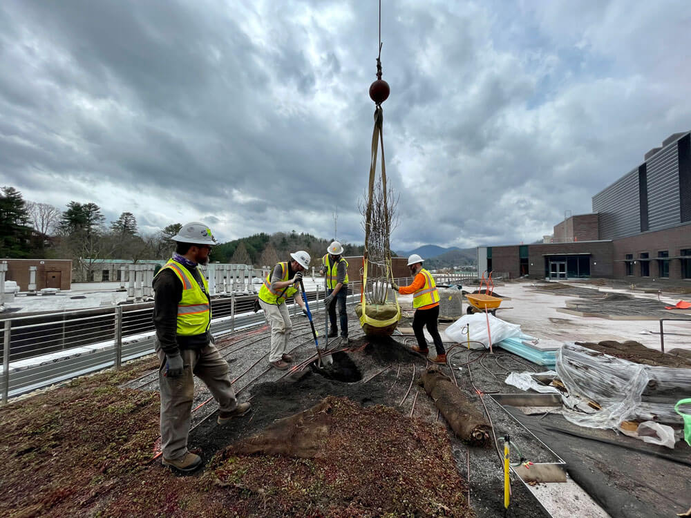 Apodaca Science Building | Education :: Living Roofs Inc.