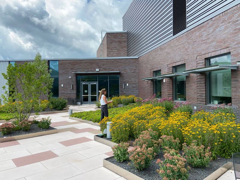 Apodaca Science Building | Education :: Living Roofs Inc.