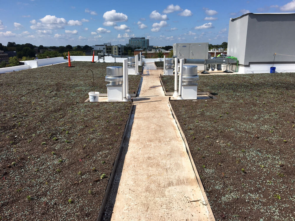 AC Marriott Hotel | Hospitality :: Living Roofs Inc.