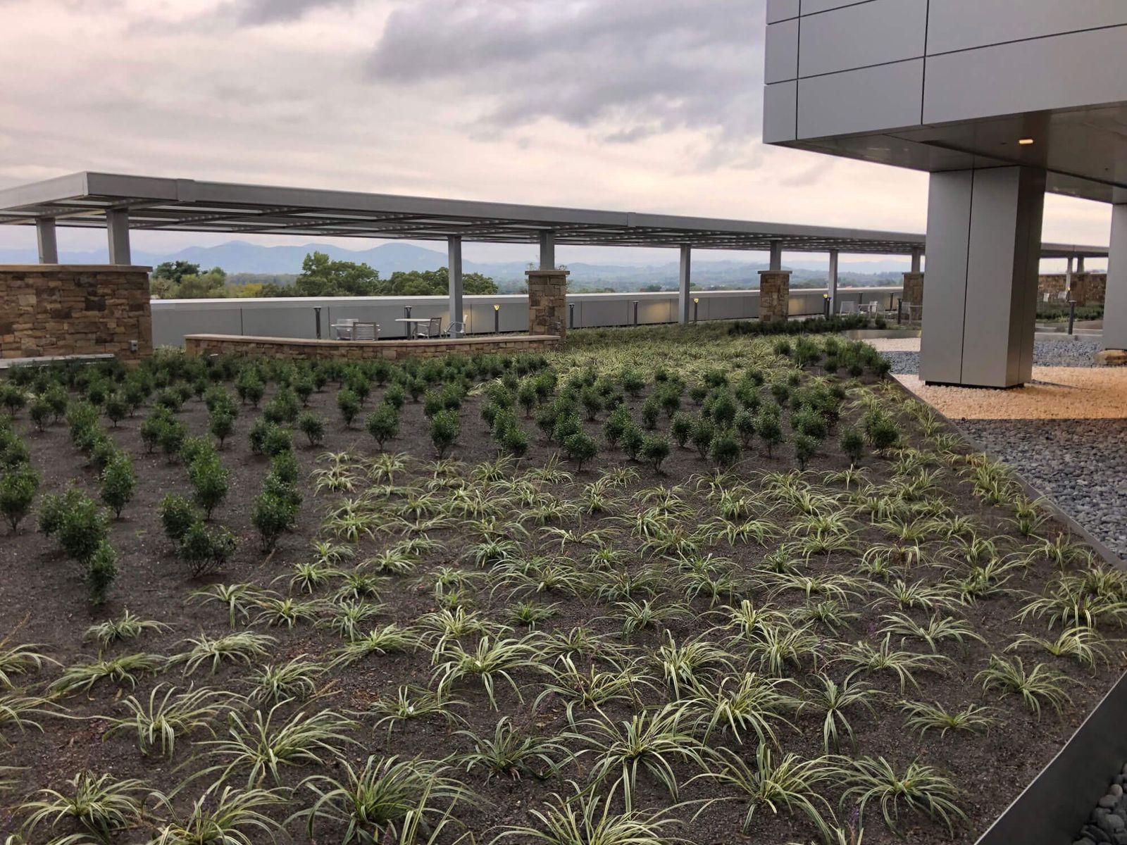 Mission Hospital | Healthcare :: Living Roofs Inc.