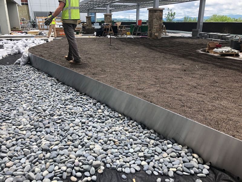 Mission Hospital | Healthcare :: Living Roofs Inc.