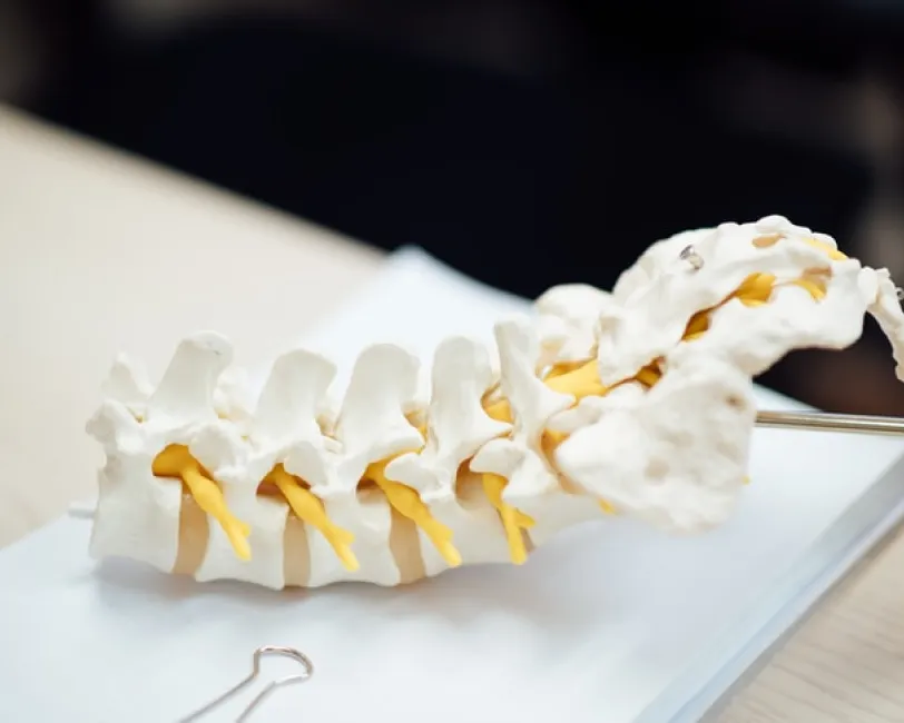 Meet the Team Giving You a Pain-Free Life | Legent