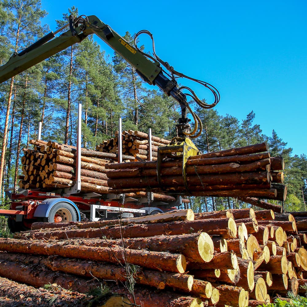 Our Value - Maximizing Logging Profits | Maxi-Load