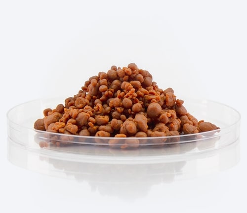 Extraction technology