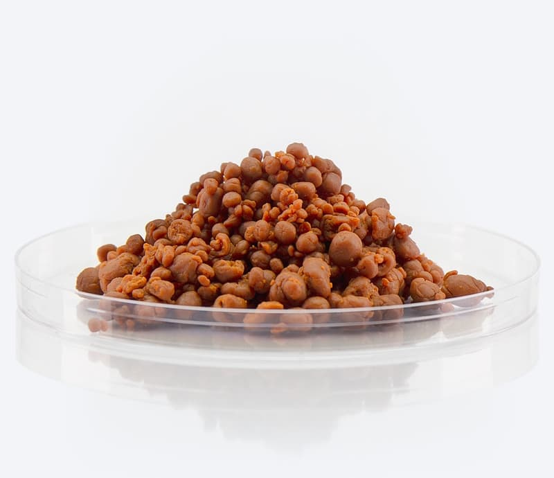 Extraction technology