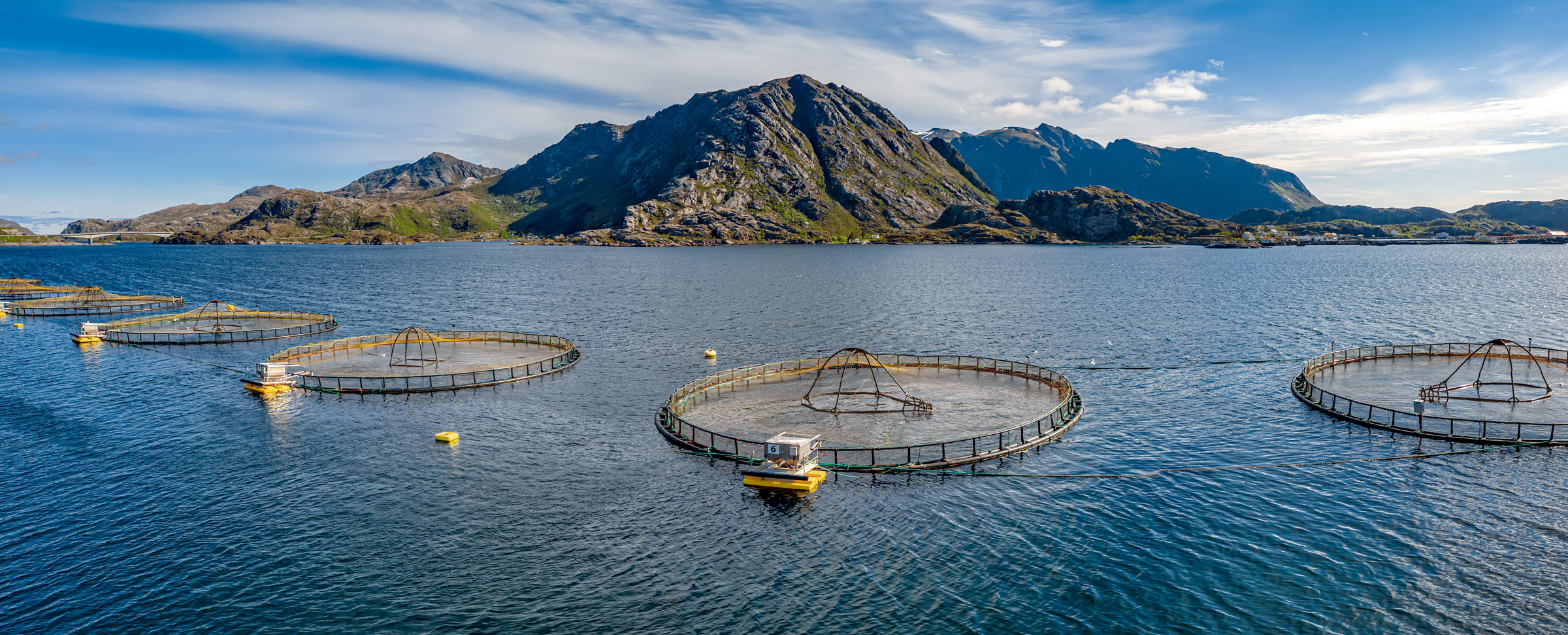 Krill collection for Aquaculture