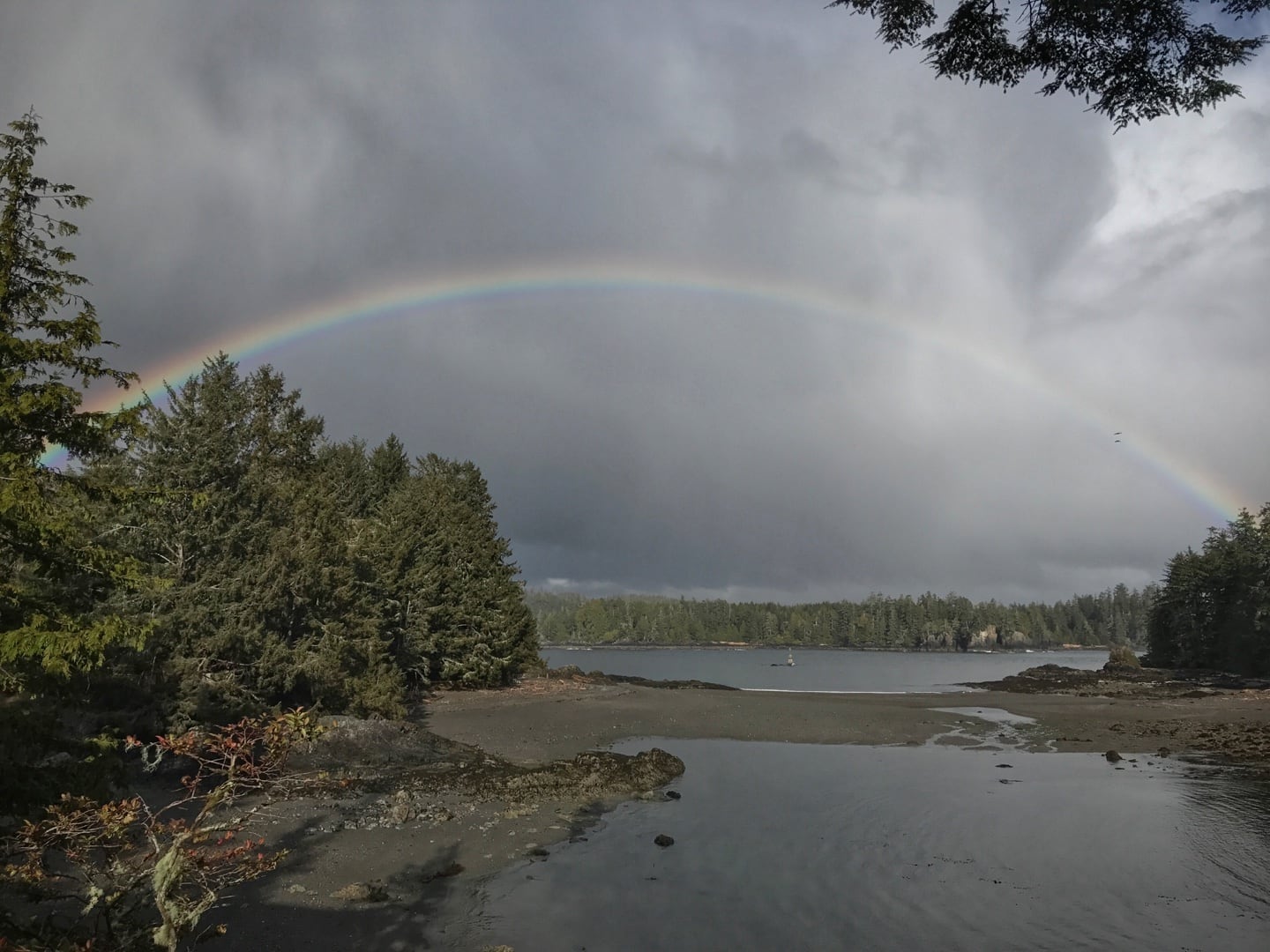 Gallery - Ucluelet Hotel - The Francis Inn