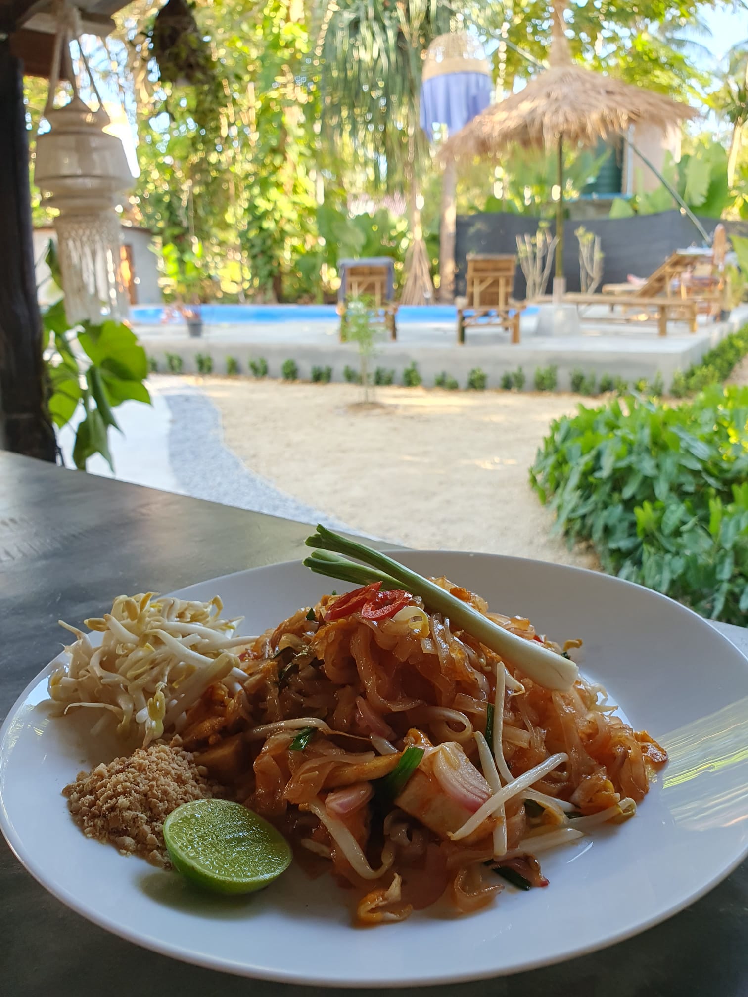 The Mellow Mango Resort