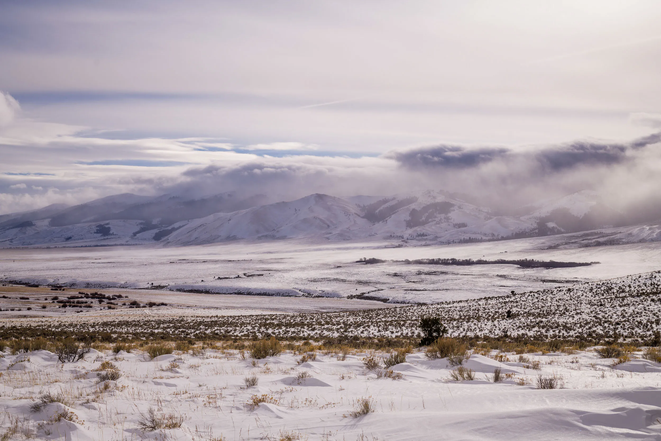 Our Community - Matador Ranch and Cattle