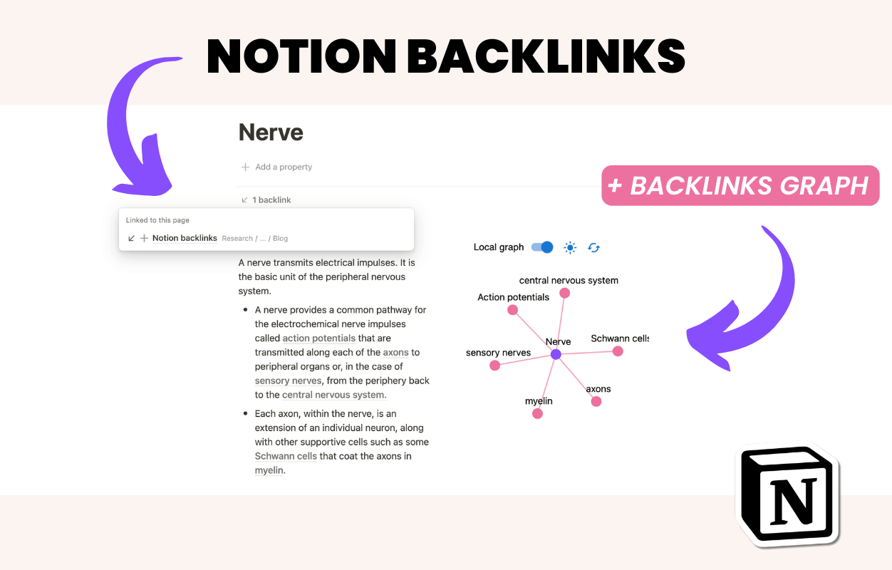Notion Backlinks | How to Add, Show, Hide, Remove [+ Graphs]