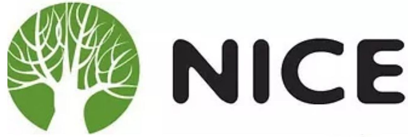 NICE - National Initiative for the Care of the Elderly in Canada ...