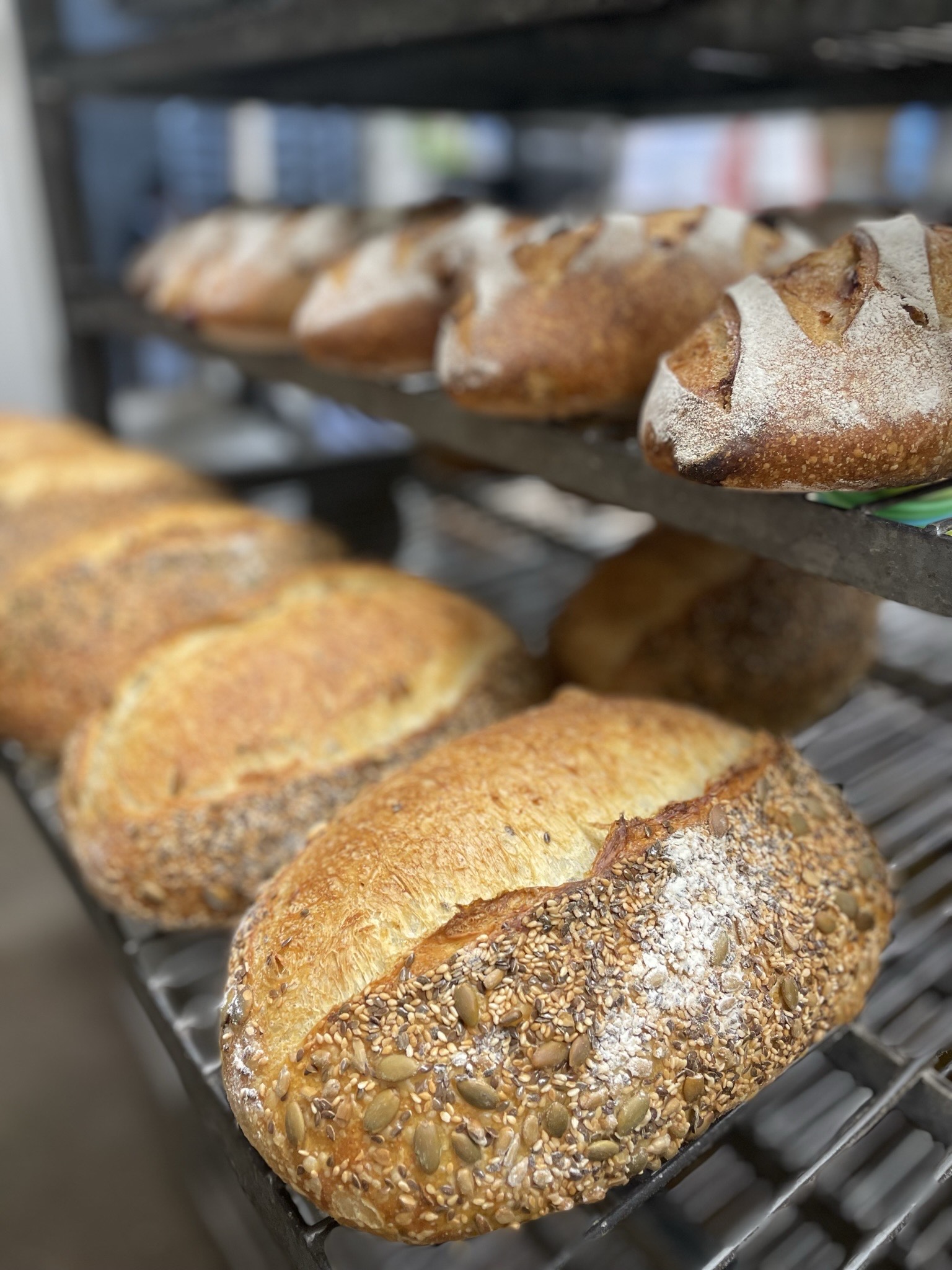 Artisan Grain Collaborative