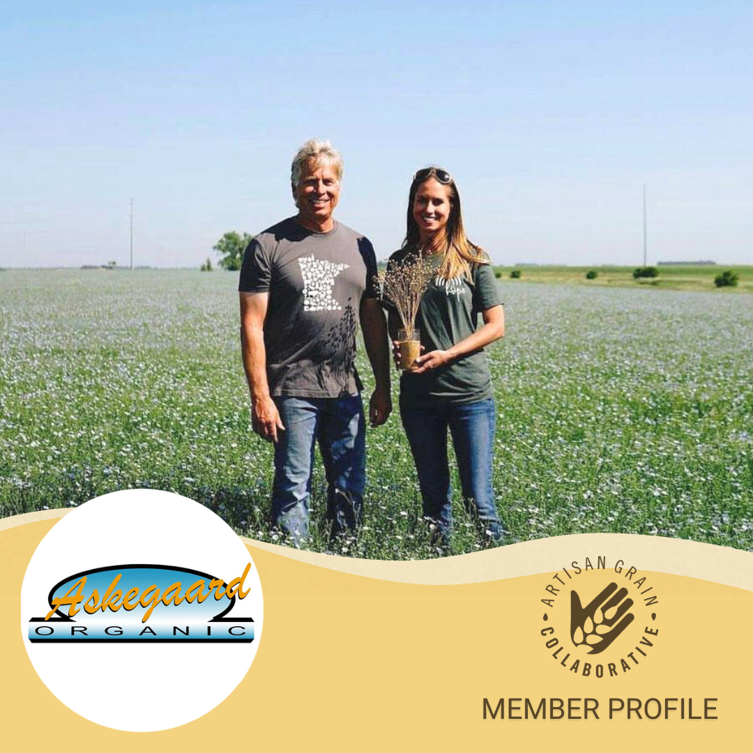 Artisan Grain Collaborative