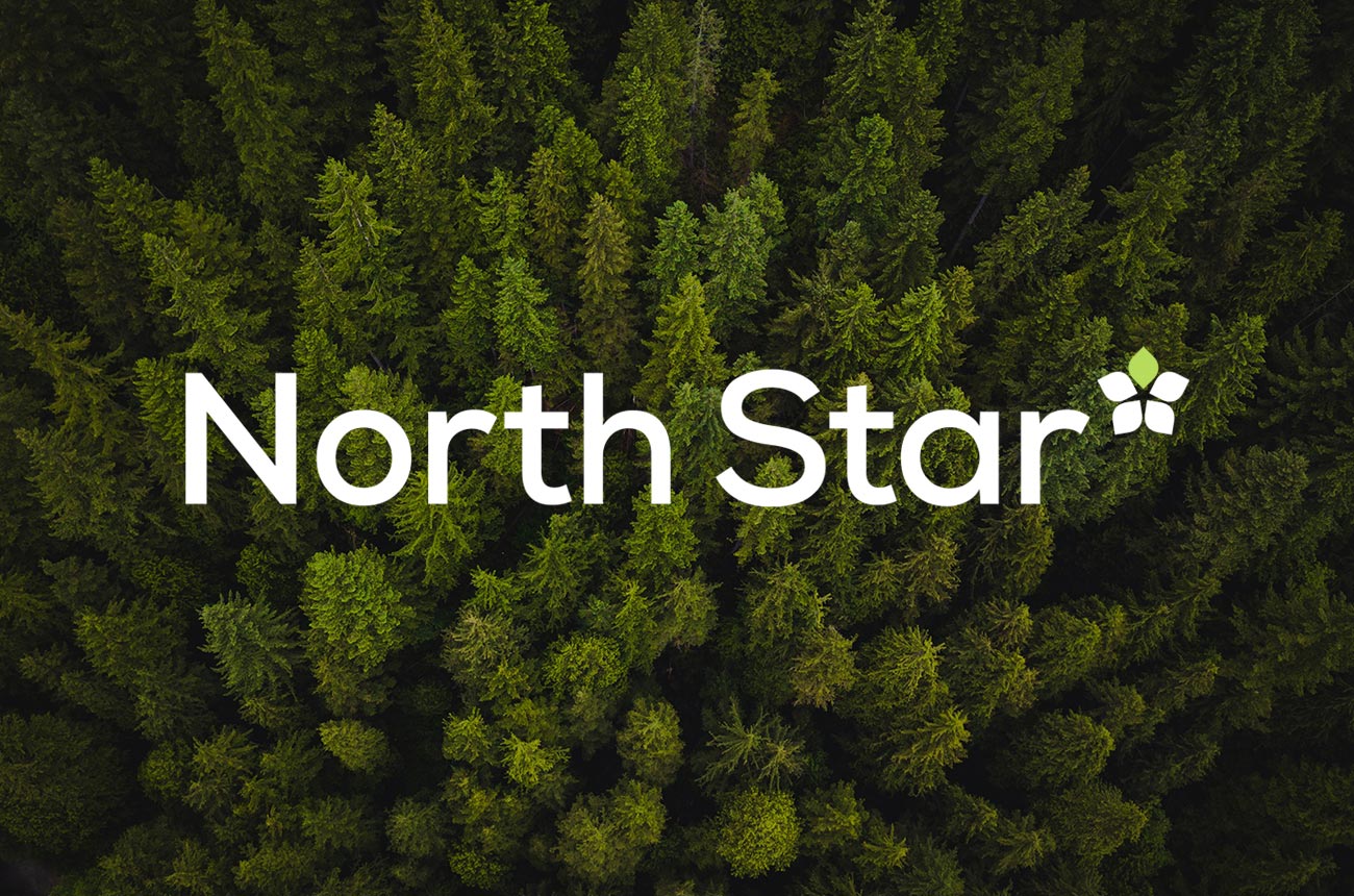 Our Projects | Carbon Alpha