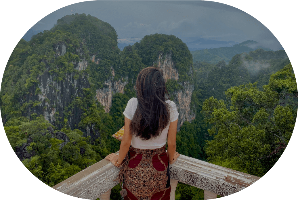 Domain Money - Expert Financial Plans