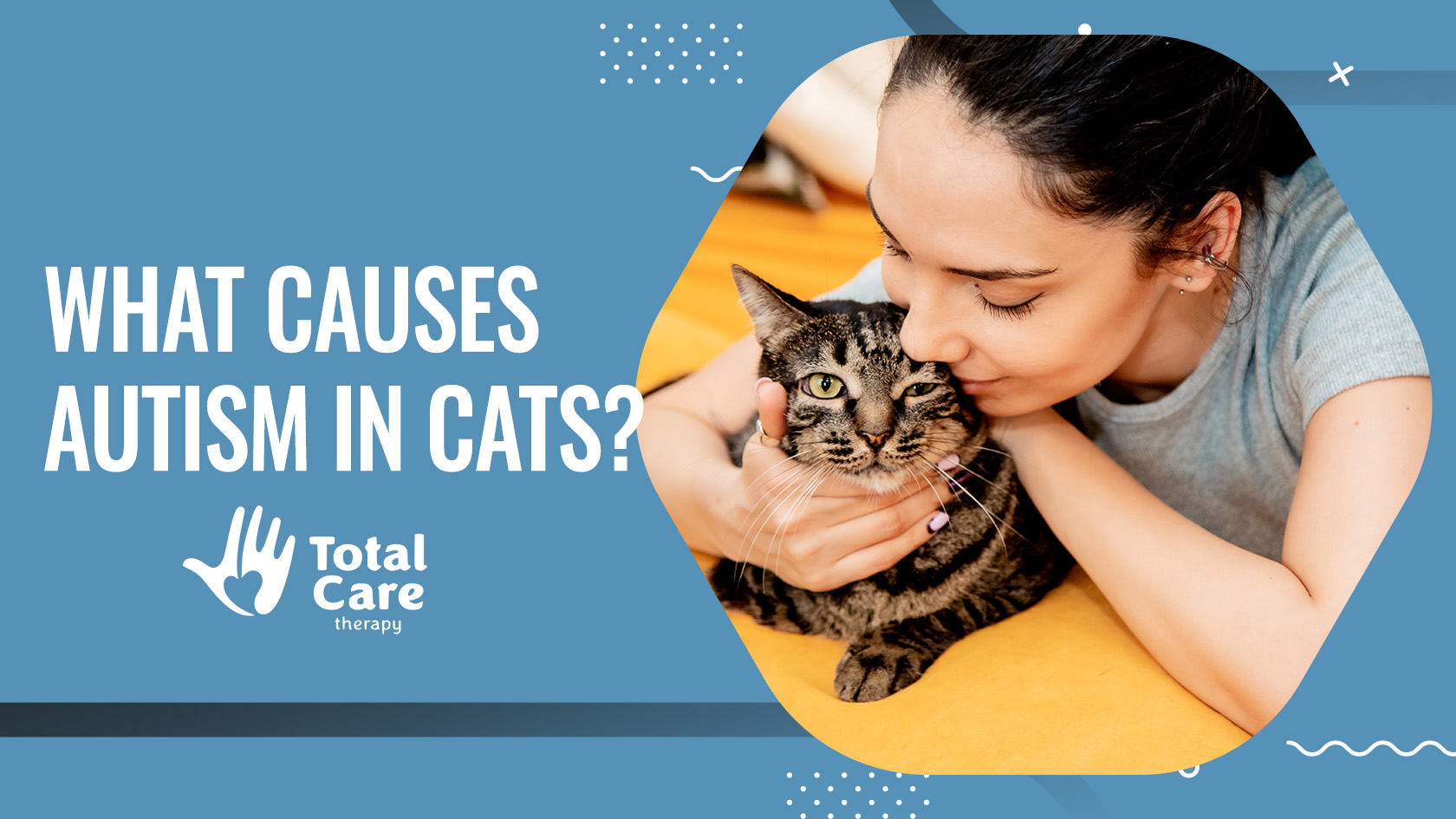 Can Cats Have Autism? Signs & Symptoms In Cats